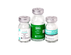 Amplipen 250mg, 500mg & 1gm Injection – PDH LABORATORIES (PVT) LIMITED