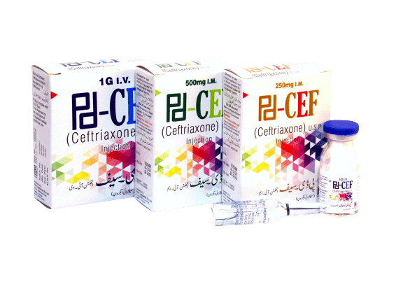 Pd-Cef (Injection 250mg, 500mg & 1gm) – PDH LABORATORIES (PVT) LIMITED